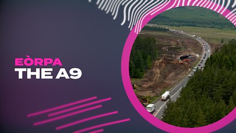 Watch BBC Scotland live - BBC iPlayer