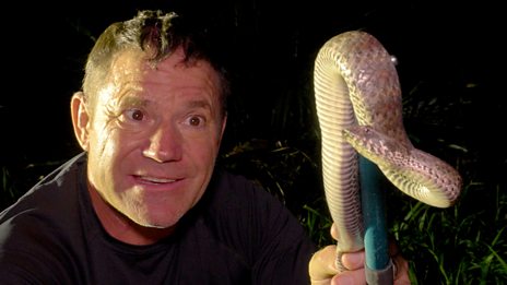 Deadly 60 - Series 6: 5. Dragons and Death Adders - BBC iPlayer