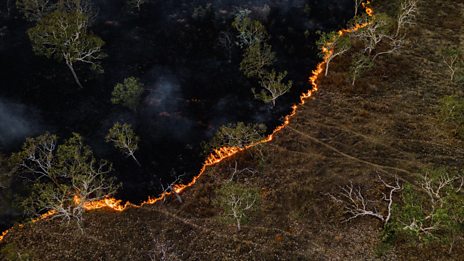 Tech Now - Fighting Wildfires: Can Tech Help? - BBC iPlayer