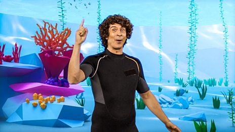 Go Explore… with Andy Day - Series 1: 1. Dolphin Dance Party - BBC iPlayer