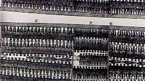 BBC Two - History File, Black Peoples of the Americas: Everyday Life on ...