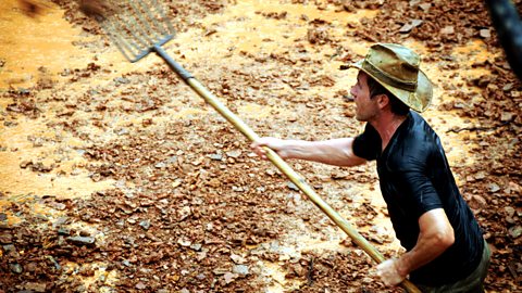BBC Two - Amazon with Bruce Parry - Episode guide