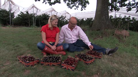 BBC Two - Harvest, Harvest 2013