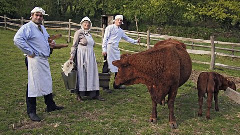 BBC Two - Edwardian Farm - Episode guide
