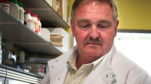 BBC Radio 4 - On the Ropes, Professor David Nutt