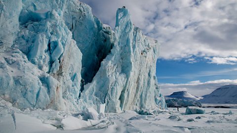 BBC One - Frozen Planet