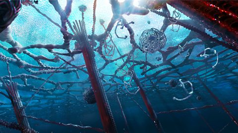 BBC Two - Secret Universe: The Hidden Life of the Cell