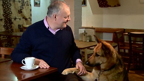 BBC One - In Dogs We Trust