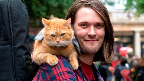 BBC Radio 4 - Midweek, James Bowen, Mary Sheepshanks, Gino Strada, Ty ...