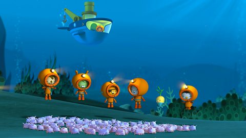 Underwater - CBeebies - BBC
