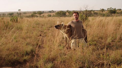 BBC One - Animal Odd Couples