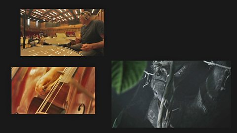 BBC One - Hidden Kingdoms, Secret Forests, Drip drip drop