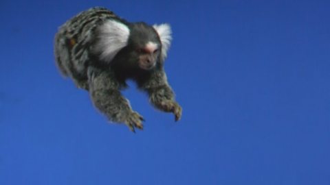 BBC One - Hidden Kingdoms