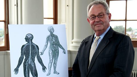 BBC Four - The Fantastical World of Hormones with Professor John Wass