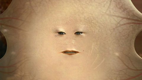 BBC One - Doctor Who (2005–2022), Series 1 - Lady Cassandra