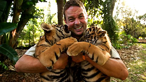 BBC Two - Tigers about the House, Series 1