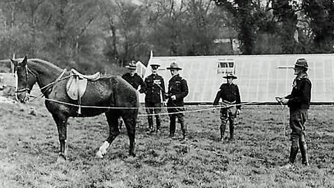 BBC - World War One At Home, BBC Radio Bristol