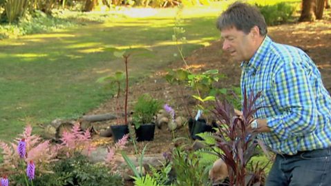 BBC Two - Alan Titchmarsh's Garden Secrets, 17th Century, How to create ...