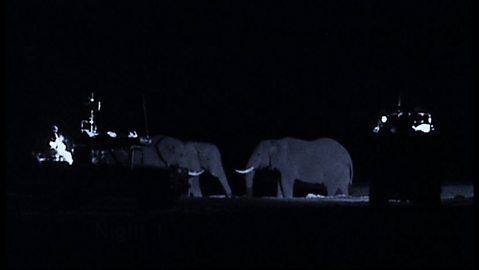 BBC One - Planet Earth