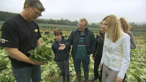 BBC Two - Back in Time for Dinner