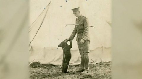 BBC World Service - Newsday, The Real Winnie the Pooh