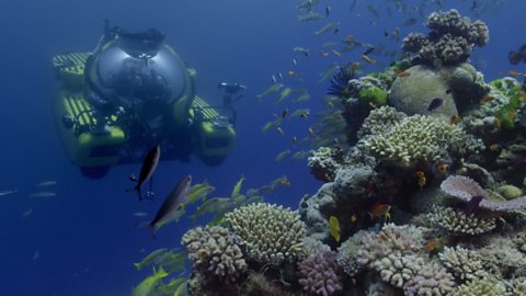 BBC One - Great Barrier Reef with David Attenborough