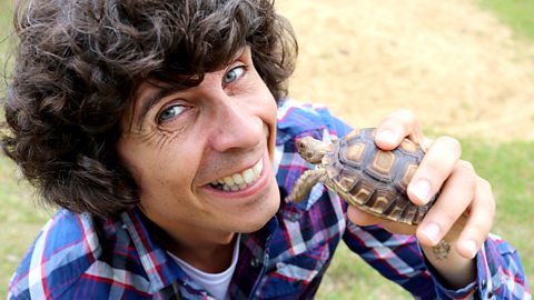 CBeebies - Andy's Baby Animals