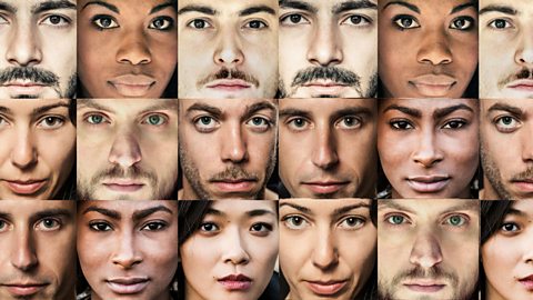 BBC World Service - CrowdScience, Why do Human Faces Look so Different?