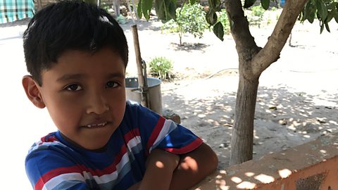 CBeebies - Where in the World?