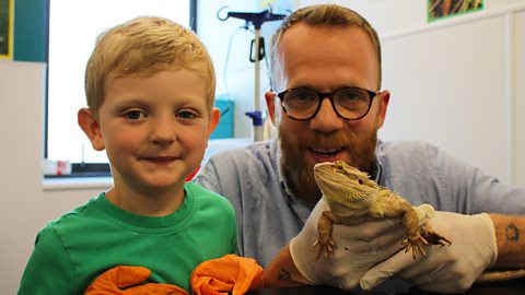 CBeebies - Ferne and Rory's Vet Tales