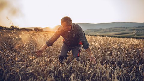 BBC World Service - CrowdScience, Who were the first farmers?