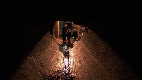 BBC Two - Curious Cat