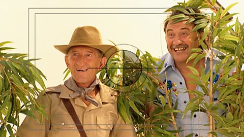 BBC One - ChuckleVision, Series 19 - Episode guide