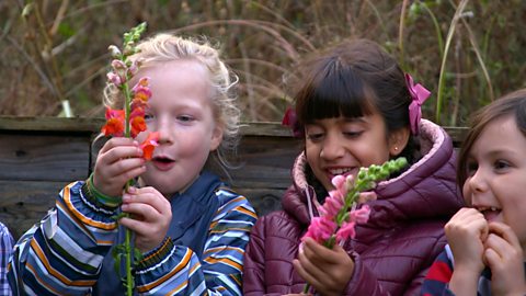 CBeebies - This Is Me