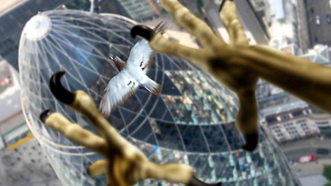 BBC One - Inside the Perfect Predator