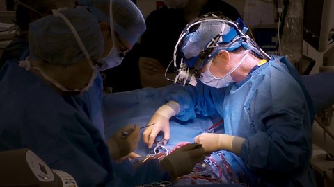 BBC Two - Surgeons: At the Edge of Life