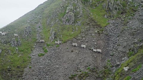 BBC Two - This Farming Life