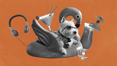 The fascinating history of the f-word