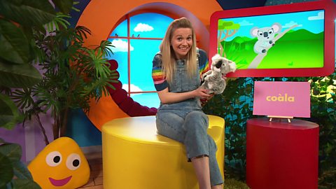 BBC - CBeebies ALBA