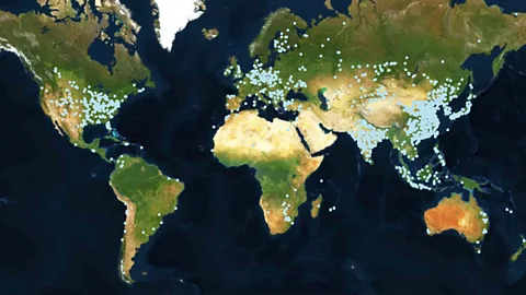 BBC Audio | 39 Ways to Save the Planet | Hunting Down the Polluters