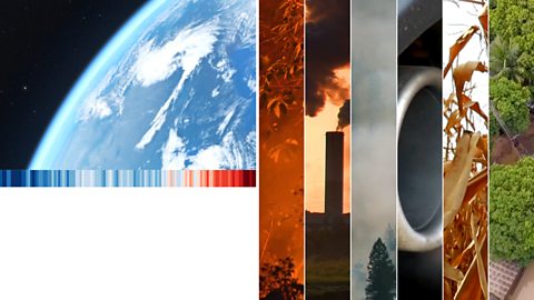 BBC - Programmes categorised as Bulletins - Available now