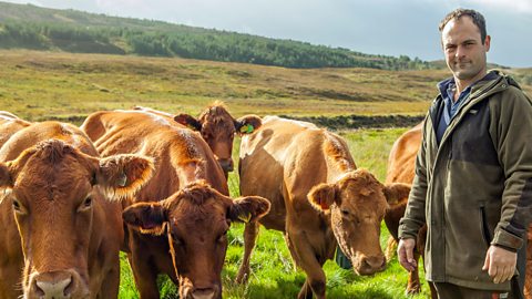 BBC Two - This Farming Life - Available now