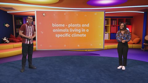 BBC Bitesize - Bitesize Daily: 7-9 Year Olds, Geography 7-8 Year Olds ...