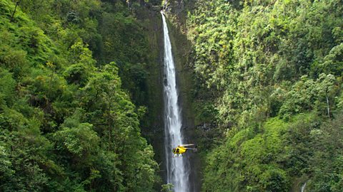 BBC One - The Green Planet - Tropical Worlds quiz