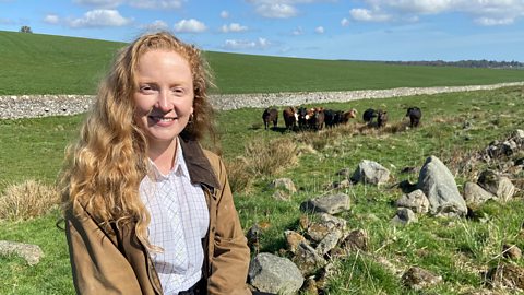 BBC Scotland - Landward - Available now