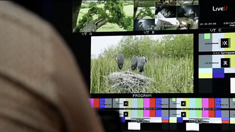 BBC Two - Springwatch