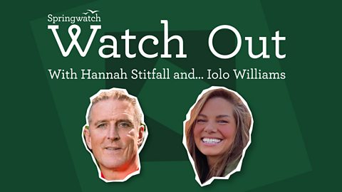 BBC Two - Springwatch - Clips