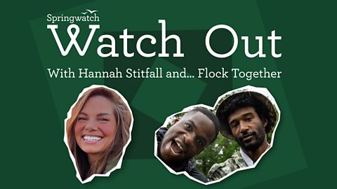 BBC Two - Springwatch - Clips