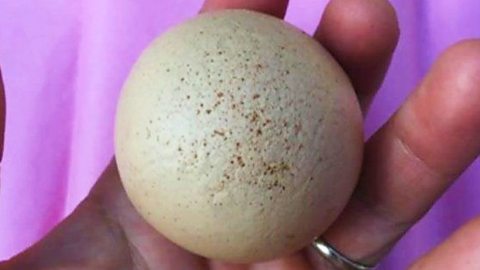 BBC Radio Oxford - Adam Ball