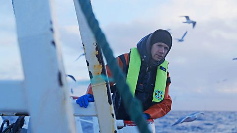 BBC One - Trawlermen: Hunting the Catch